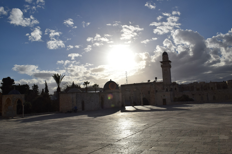 (378) – Nuseibeh